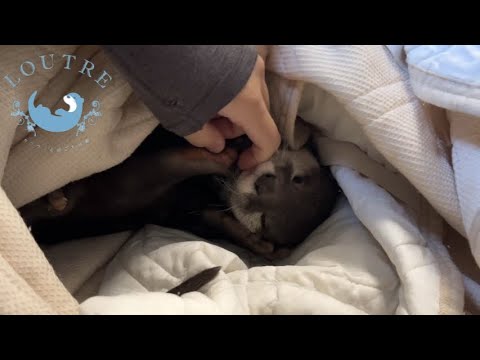 Otter Tried Fish She Didn't Like!