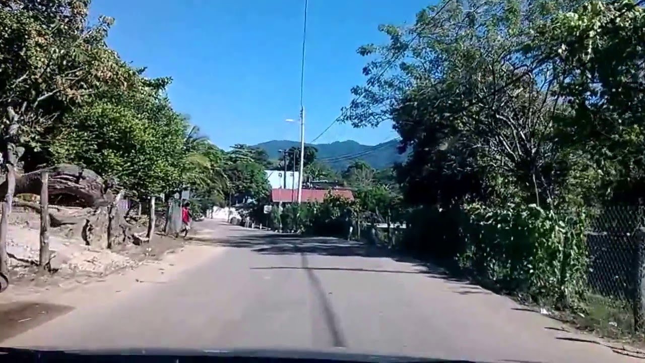 Zocoteaca de León 2015