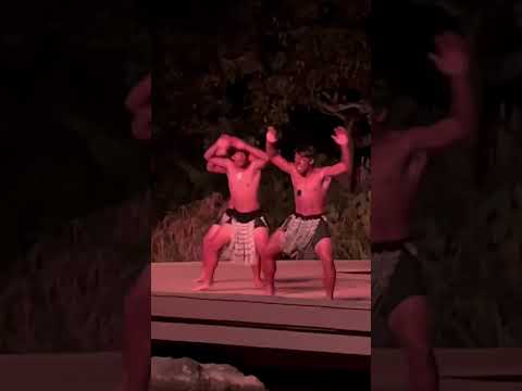 Māori haka war/challenge dance. Native people of New Zealand.