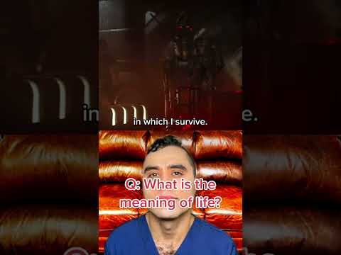 The Meaning of Life, According to a Robot.