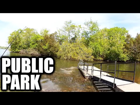 Spring Fishing in Public Water - Float Fishing at Skeletor Park!