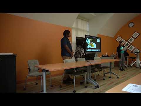 Bee Bridge Presentation | Sister Cities 2022