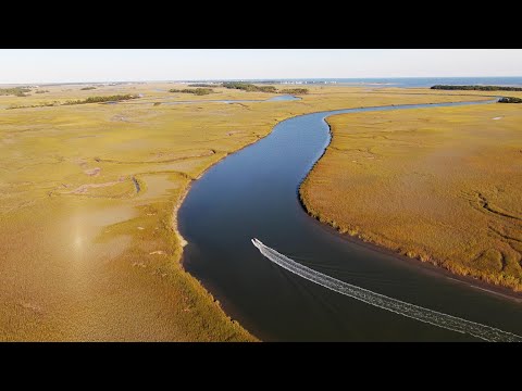Claudia’s South Carolina Adventure // Presented by BuzzFeed & Citi / AAdvantage Platinum Select Card