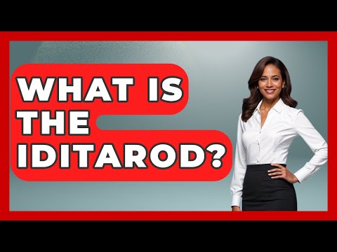 What Is The Iditarod? - United States Revealed