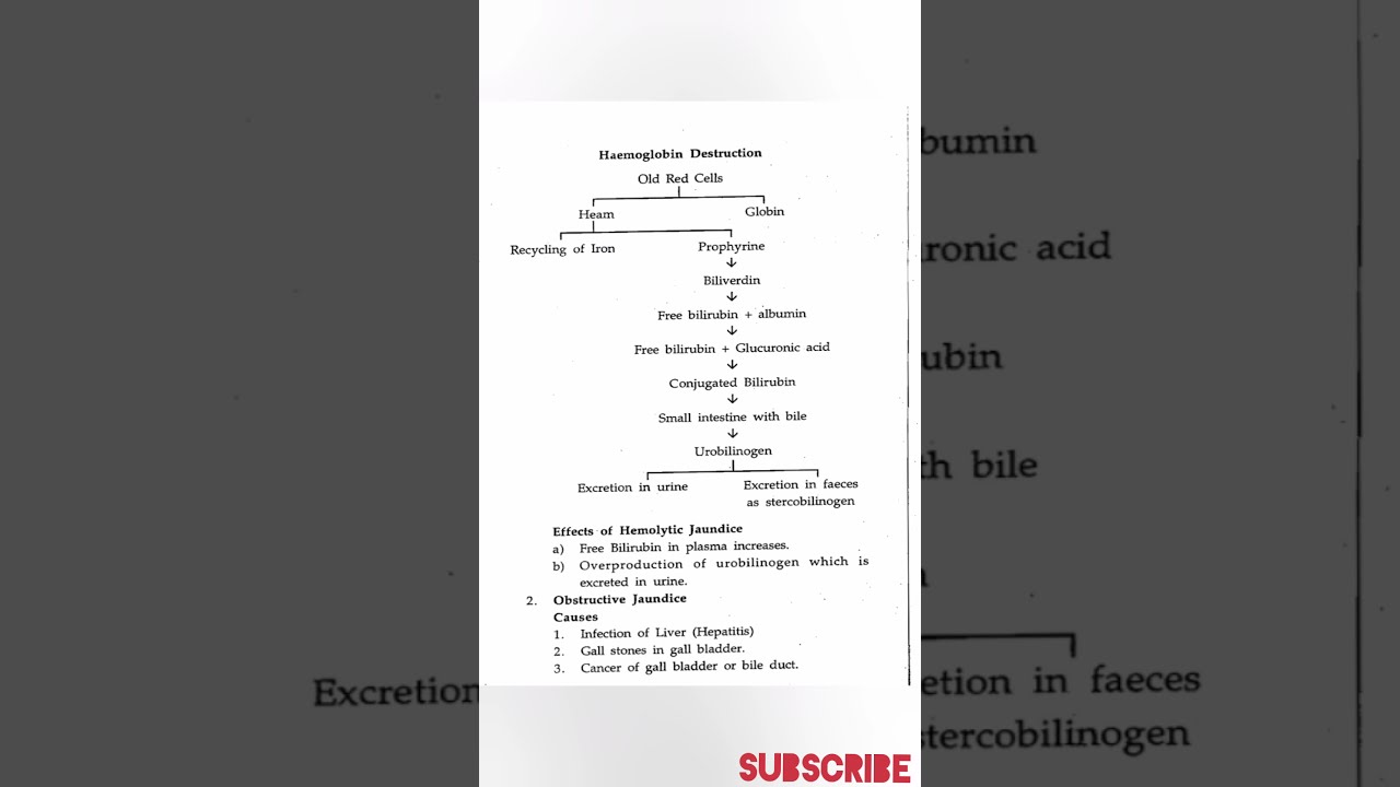 Introduction to Jaundice | Notes | PDF #SHORTS #YouTubeSHORTS