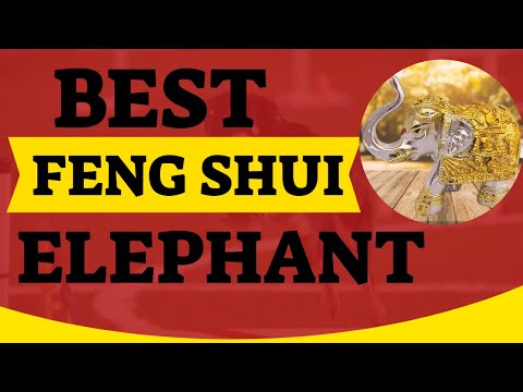 Feng Shui Elephant Trunk Direction-Front Door Feng Shui