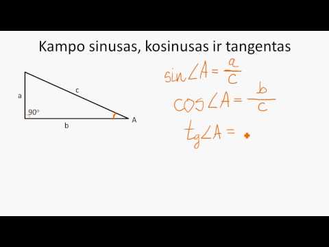 Trigonometrija. Kampo sinusas, kosinusas ir tangentas.