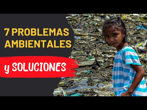 ✅ 7 Problemas Ambientales y Cómo Solucionarlos