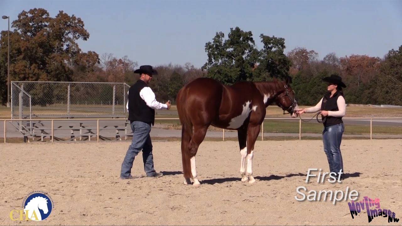 Showmanship Fundamentals with Dave Devlin