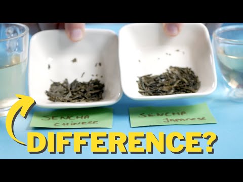 Tested: Japanese VS Chinese Sencha Green Tea