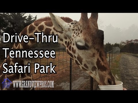 TN Safari Park