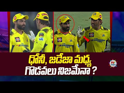 CSK CEO reveals truth behind rift rumours between MS Dhoni and Ravindra Jadeja | NTV Sports