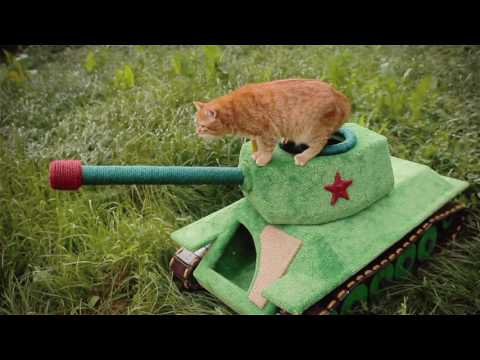 Tank Cat House – The Armored Patrol