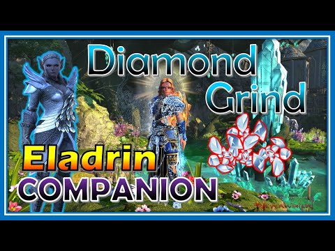NEW Eladrin Companion & Diamond Grind! What can you Get, Opening 30 - Neverwinter Mod 20