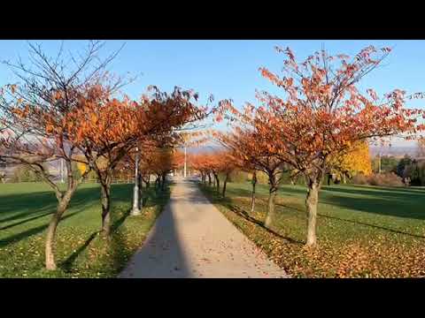 Fall Season in Canada