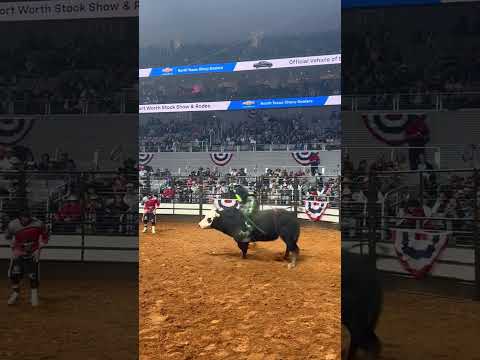 Front row seats! π€ #bullriding