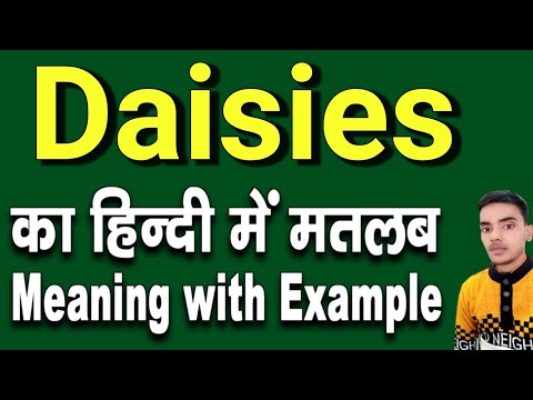 Daisies meaning in hindi | daisies ka matlab kya hota hai | daily use english words | word meaning