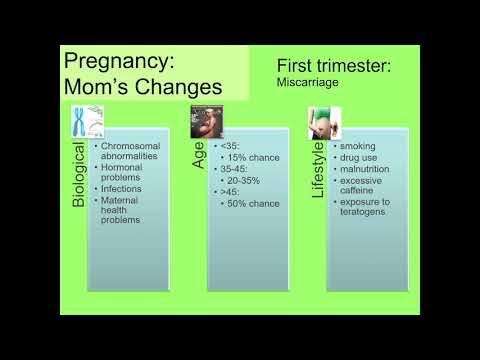 Ch 11.2 Human Sexuality Teratogens