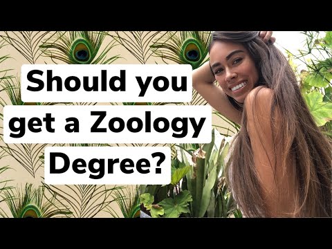 Should You Get a Zoology Degree?