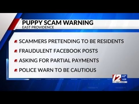 Police warn of puppy scam on Facebook Marketplace