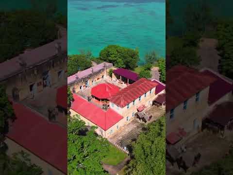 Was sollte man sonst noch unbedingt tun in Sansibar? Video: @zanzibarterminus (Instagram)