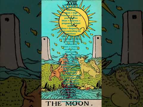 The Moon - Combinations #tarot #learntarot