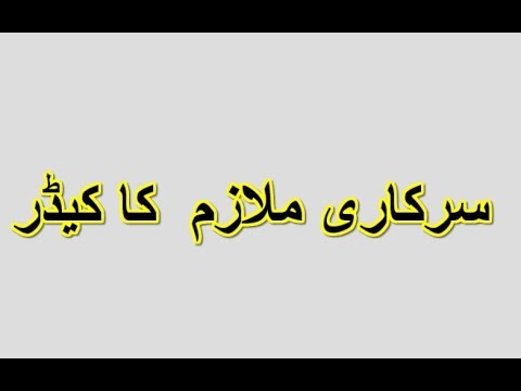 ministry of finance pakistan government jobs in pakistan give us cadre. What is cadre?