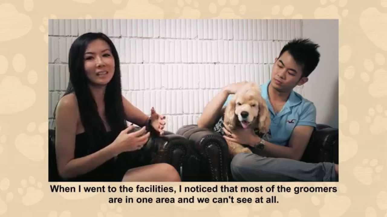 Yogi's Memories @ Petopia