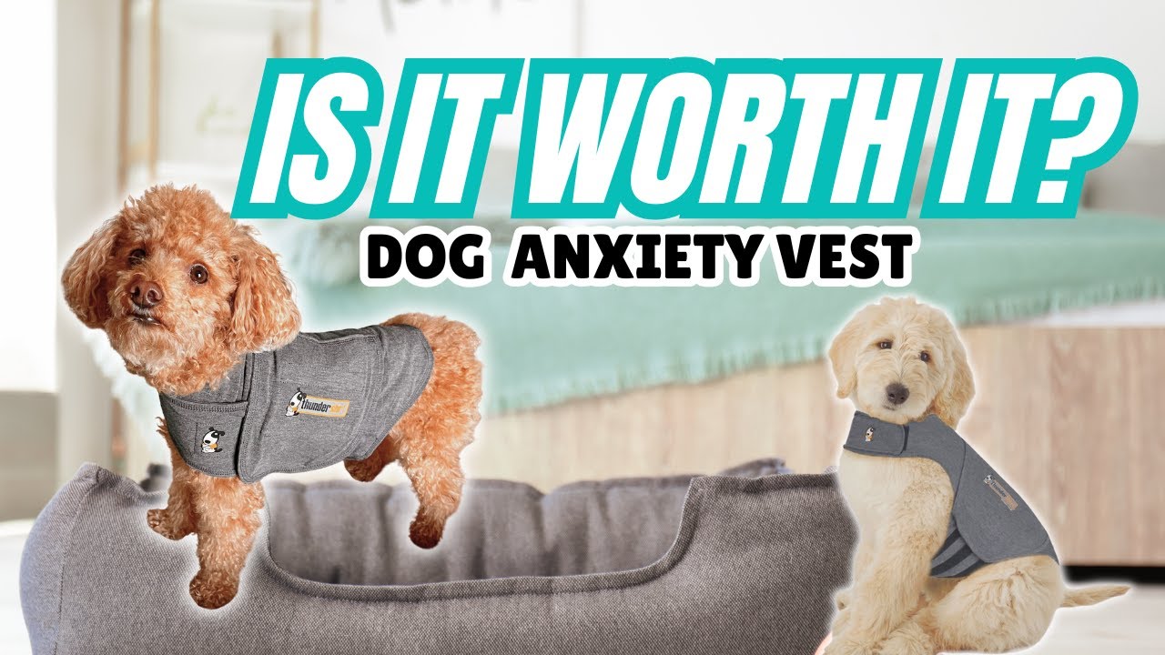 Dog Anxiety Vest | Thundershirt for Dogs