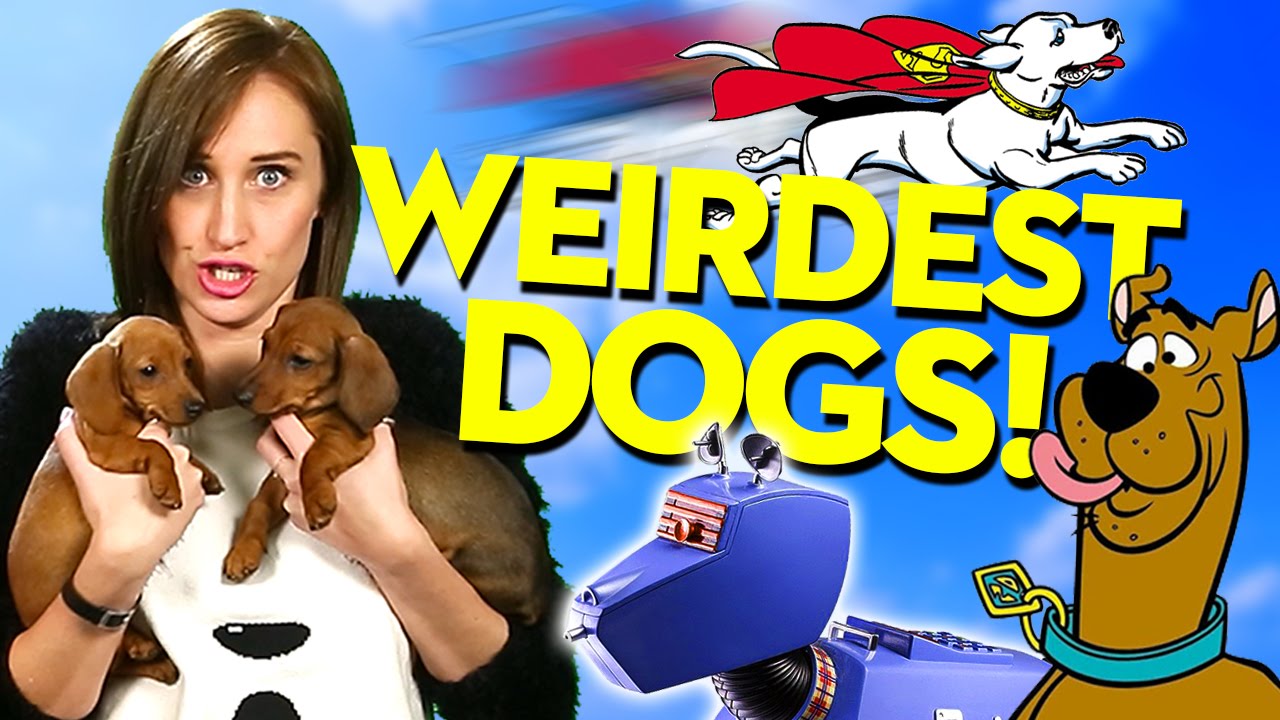 Top 10 Weirdest Dogs in ‘Pup’ Culture!