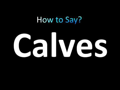 How to Pronounce Calves