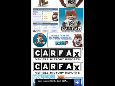 Carfax Full Reports