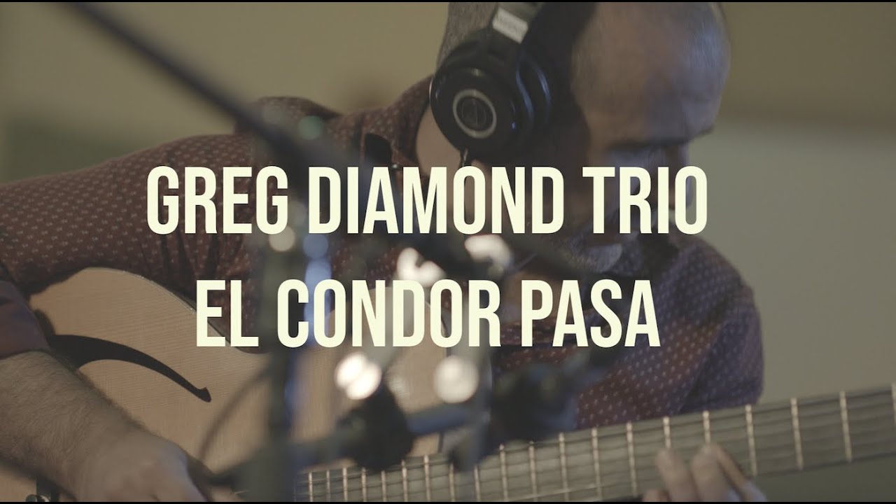 Hire Greg Diamond - Guitarist in Miami, Florida