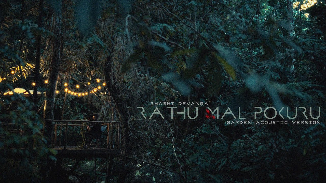 Lyrics & Translations of RATHU MAL POKURU by Bhashi | Popnable