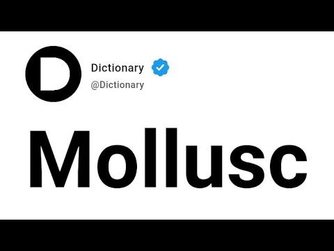 Mollusc Meaning In English