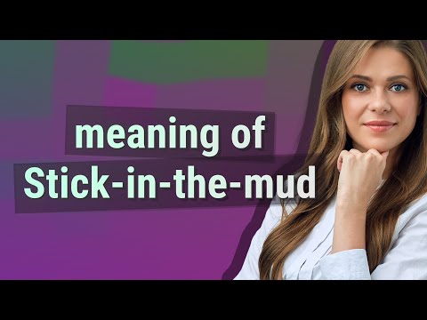 Stick-in-the-mud | meaning of Stick-in-the-mud