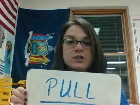Push/Pull Factors