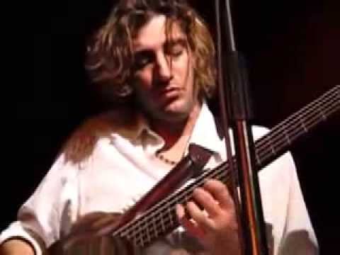 Warwick Dolphin Pro 1 1991 - Boire Wood | Reverb