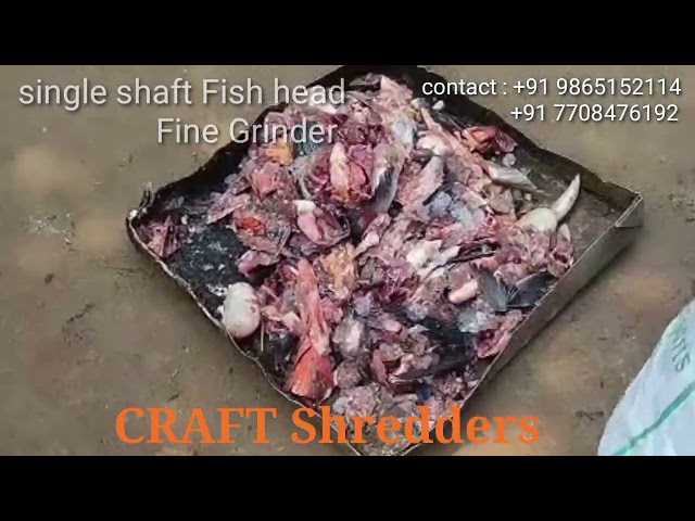 Multipurpose Shredding Machine - 10 Hp Chicken & Fish Waste Shredding ...