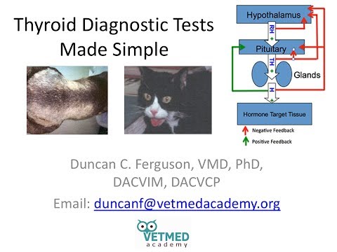 Thyroid Diagnostic Tests Made Simple