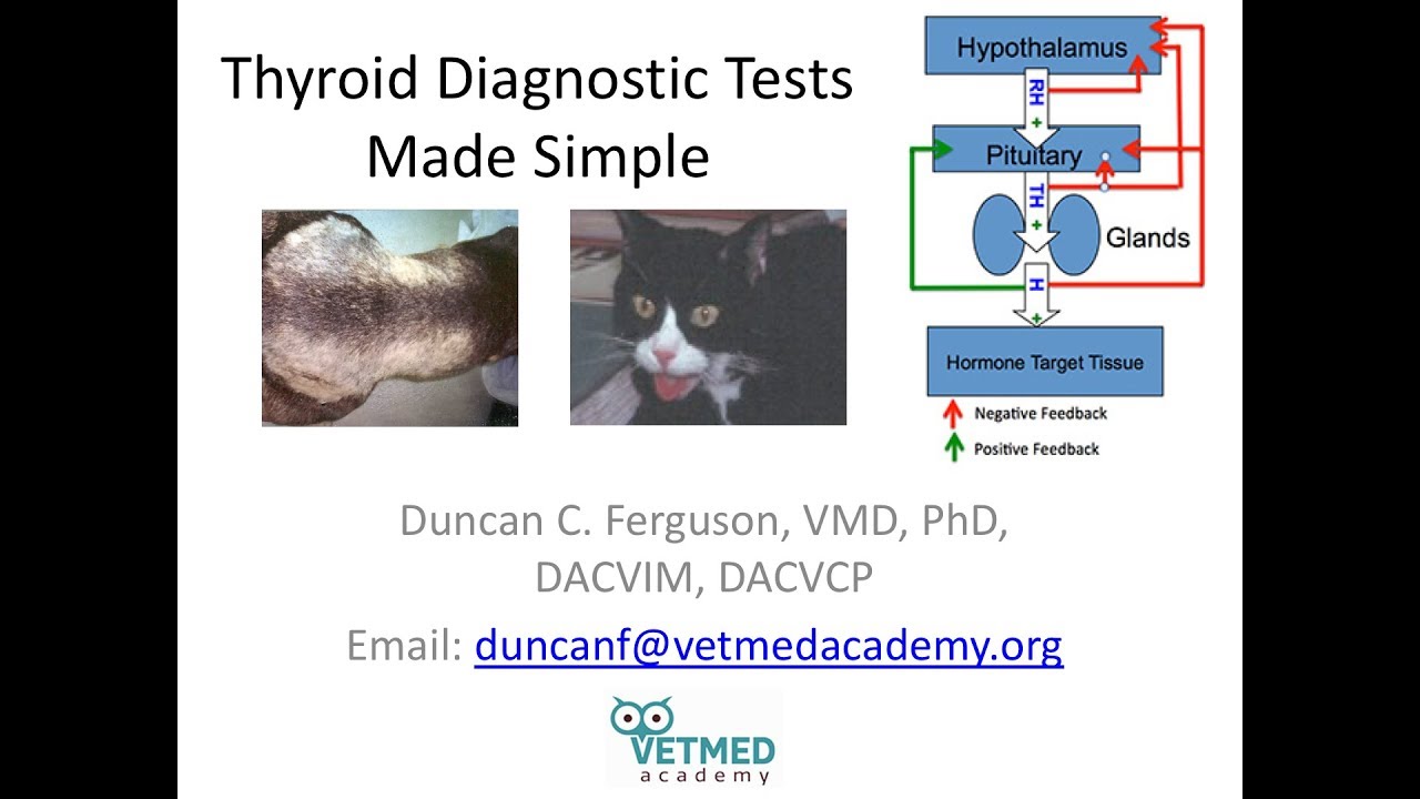 Thyroid Diagnostic Tests Made Simple