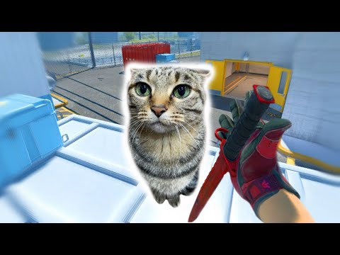 Steam Community :: Video :: pixel surf