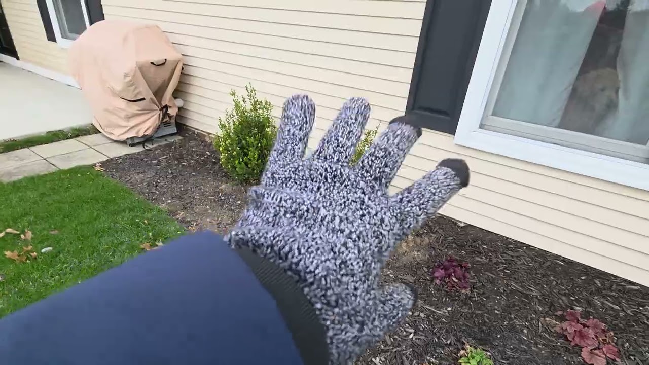 Jackson-lawn and landscape services 