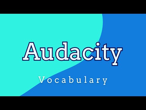 What is the meaning of Audacity?