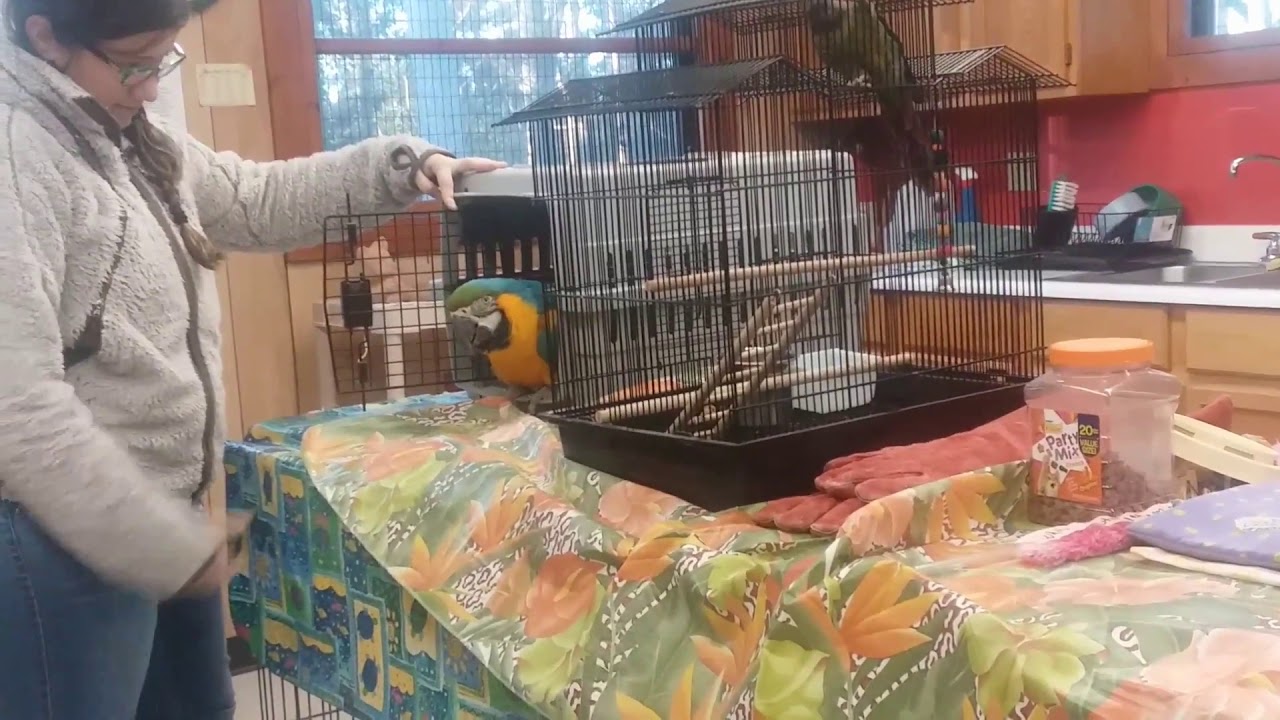 Suggs Kennels: Alex's visit