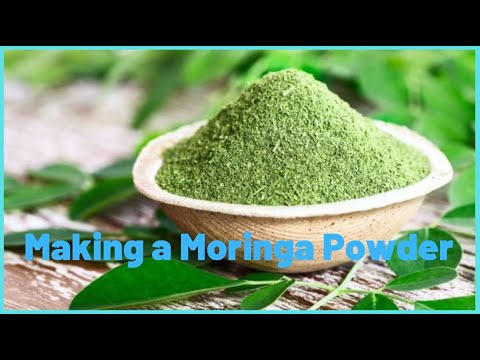 MORINGA/ MALUNGGAY SEASON 2 | MAKING A MORINGA POWDER & HEALTH BENEFITS