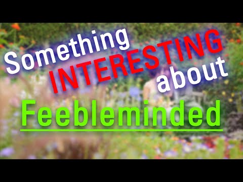 What is Feebleminded? | How to Say Feebleminded in English? | How Does Feebleminded Look?