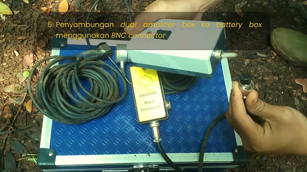 Fakopp Root Detector