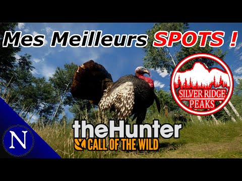 Steam Community :: Video :: The Hunter COTW : Mes meilleurs SPOTS à ...