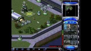 Command conquer red alert 2 trainer v1 001 - pandaopl